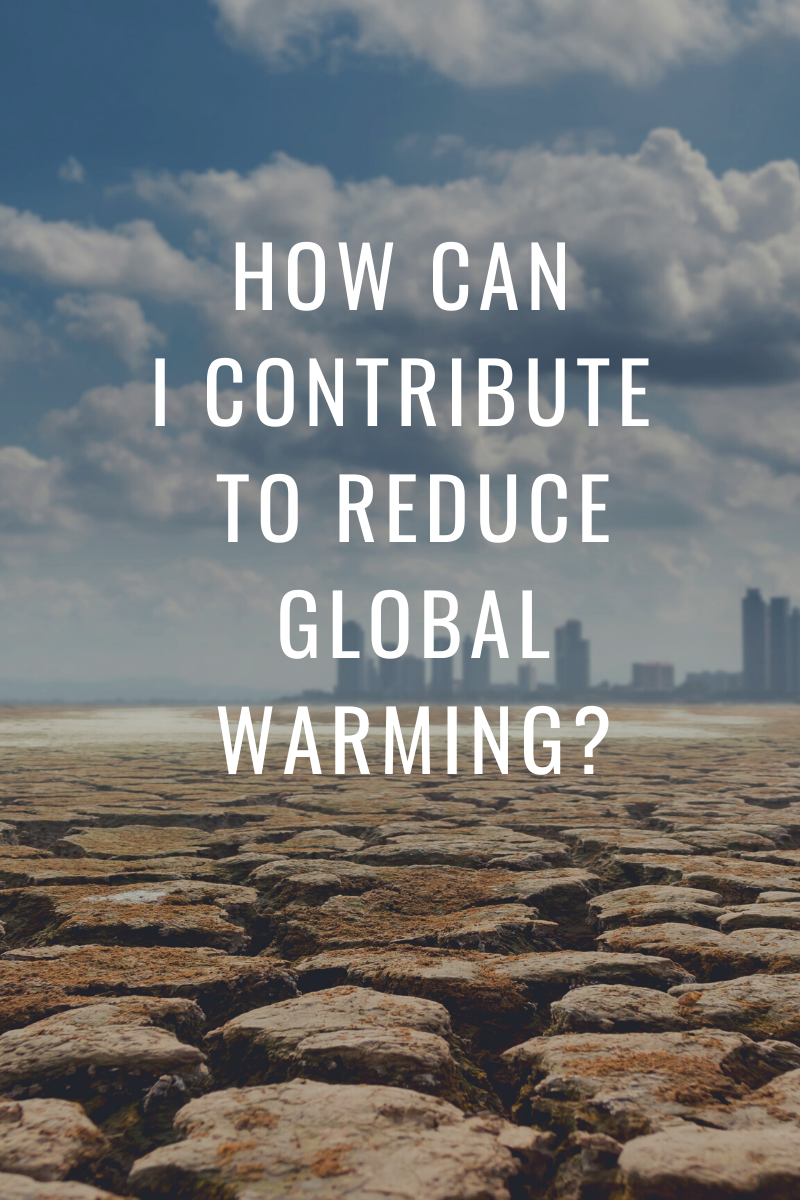 How Can I Contribute to Reduce Global Warming? – Decoding Biosphere