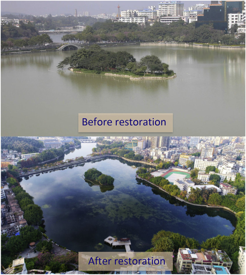 Lake Restoration – Decoding Biosphere