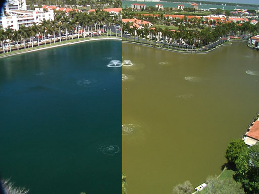 Lake Restoration – Decoding Biosphere