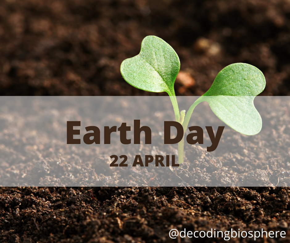 10 Simple Ideas to Celebrate the Earth Day – Decoding Biosphere