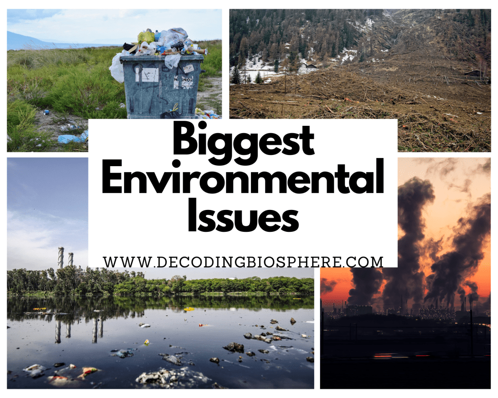 9 Biggest Environmental Issues that the World is Facing Today ...