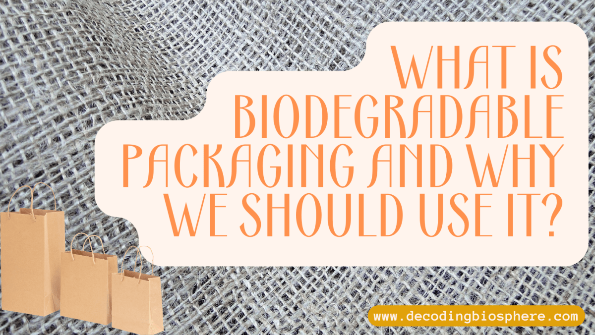 What is Biodegradable Packaging and Why we Should Use it? – Decoding ...