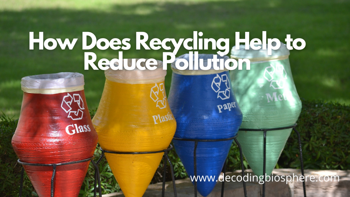 How Does Recycling Help to Reduce Pollution – Decoding Biosphere