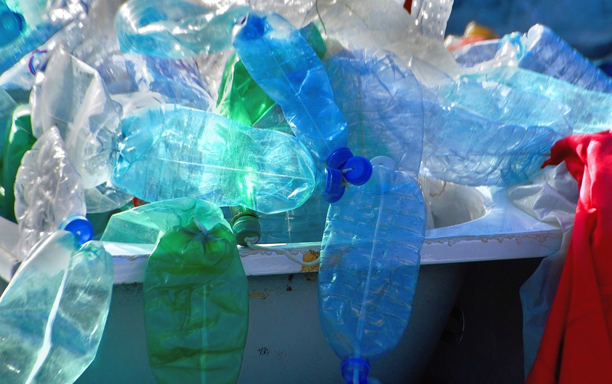 75% of People want Single-use Plastics Banned, According to a Global ...