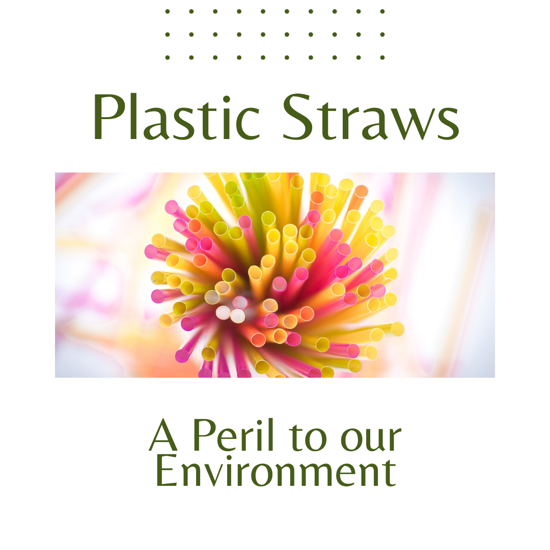 Plastic Straws- A Peril to our Environment – Decoding Biosphere
