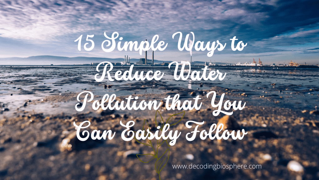 15 Simple Ways to Reduce Water Pollution that You Can Easily Follow ...