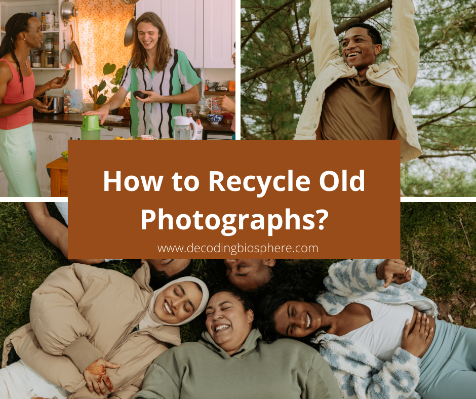 How to Recycle Old Photographs? – Decoding Biosphere
