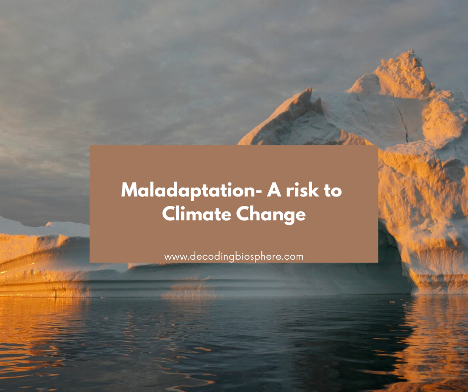 Maladaptation- A risk to Climate Change – Decoding Biosphere