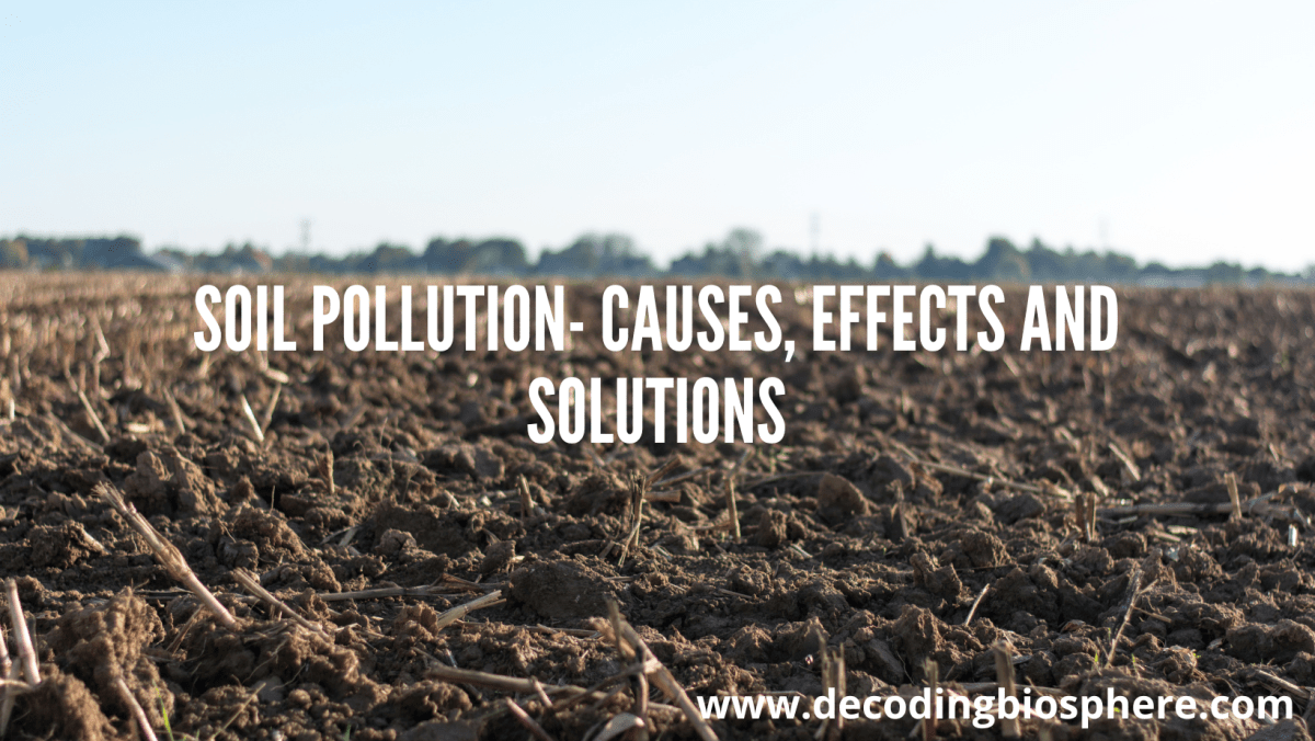 Soil Pollution- Causes, Effects and Solutions – Decoding Biosphere