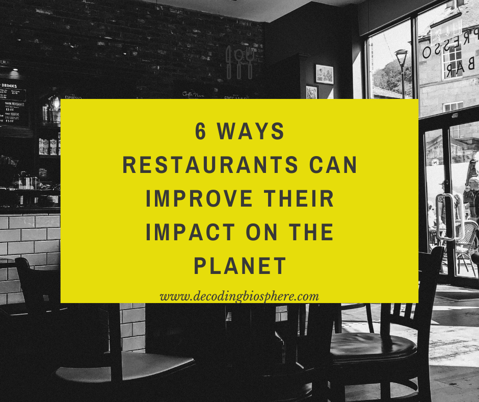 6 Ways Restaurants Can Improve Their Impact on the Planet – Decoding ...