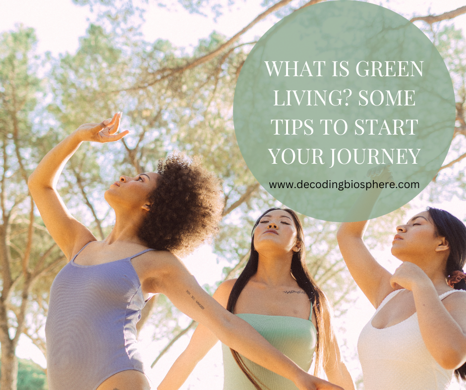 What is Green Living? Some Tips to Start your Journey – Decoding Biosphere