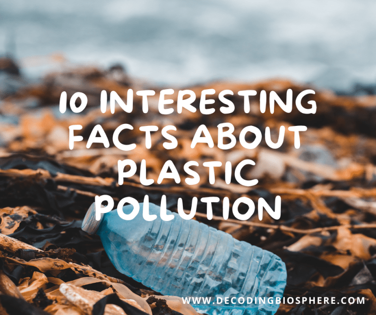 10 Interesting Facts About Plastic Pollution – Decoding Biosphere