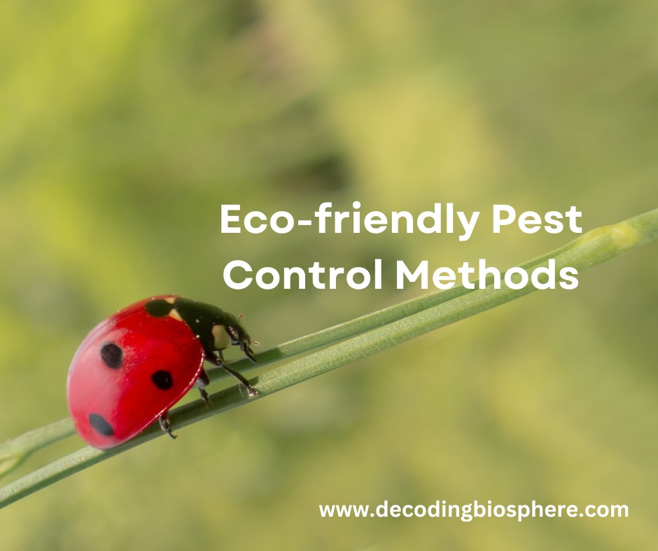 Eco friendly Pest Control Methods – Decoding Biosphere