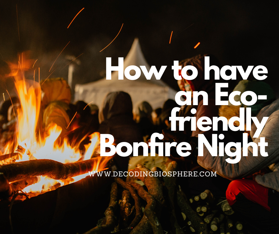 How to have an Eco-friendly Bonfire Night – Decoding Biosphere