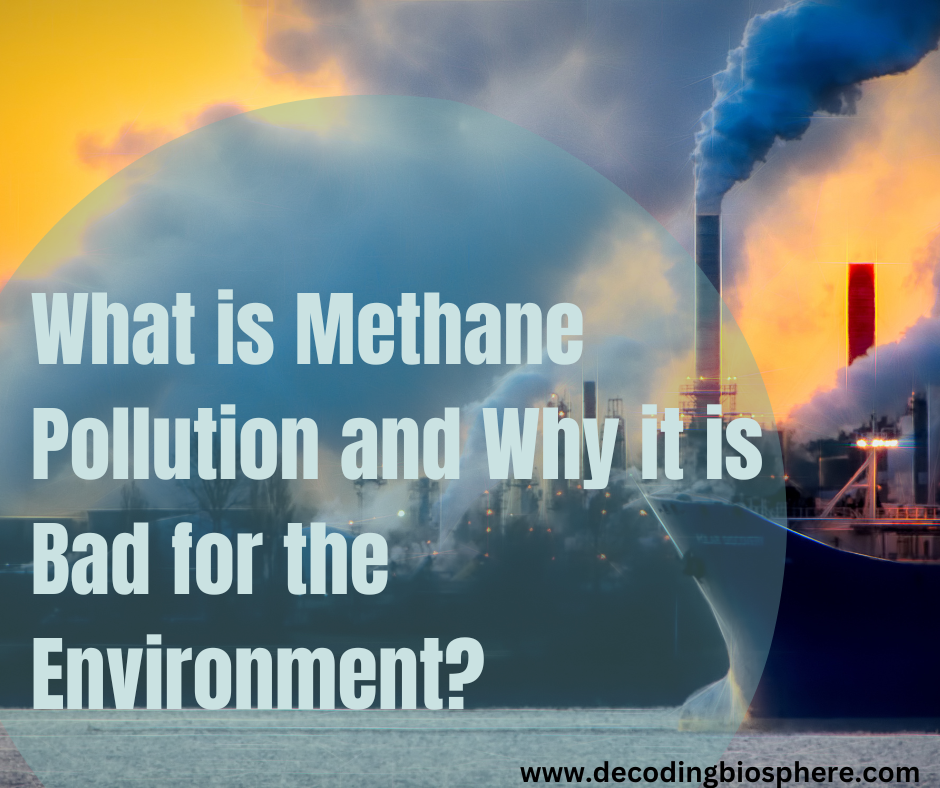 What is Methane Pollution and Why it is Bad for the Environment ...