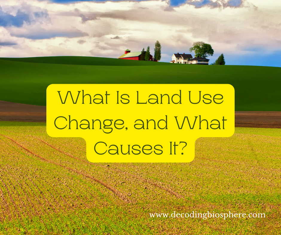 What Is Land Use Change, and What Causes It? – Decoding Biosphere