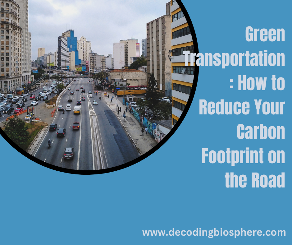 Green Transportation: Reduce Your Carbon Footprint – Decoding Biosphere