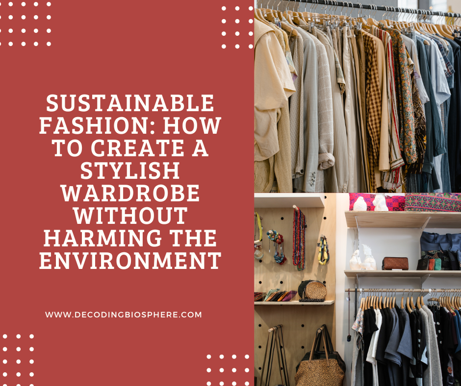 Sustainable fashion: How to Create a Stylish Wardrobe Without Harming ...