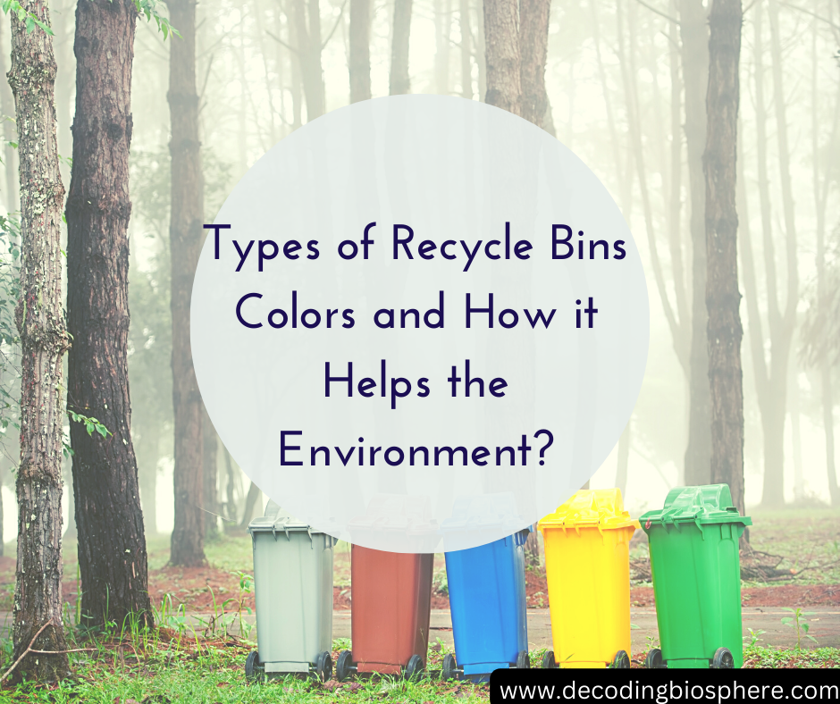 Types of Recycle Bins Colors and How it Helps the Environment ...