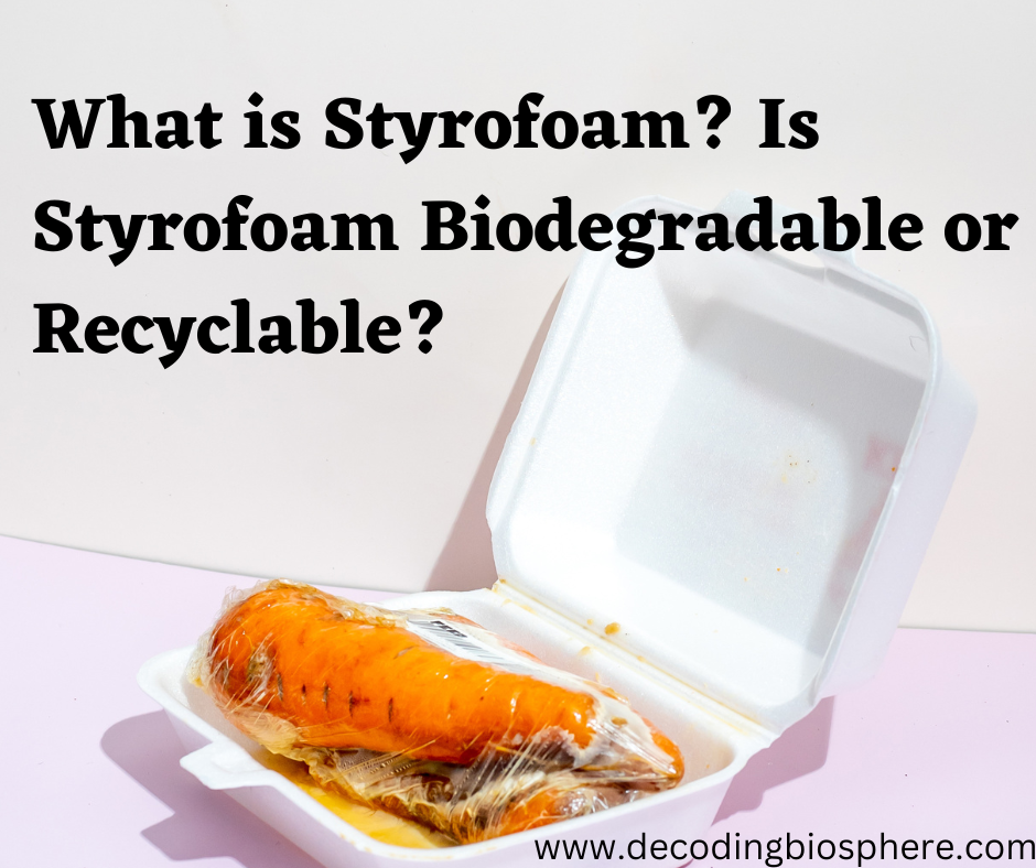 What is Styrofoam? Is Styrofoam Biodegradable or Recyclable? – Decoding ...
