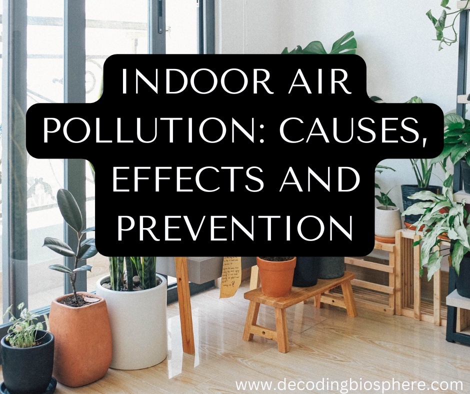 Indoor Air Pollution: Causes, Effects and Prevention – Decoding Biosphere