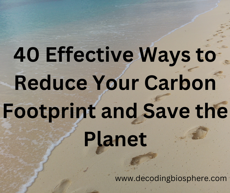 40 Effective Ways to Reduce Your Carbon Footprint and Save the Planet ...