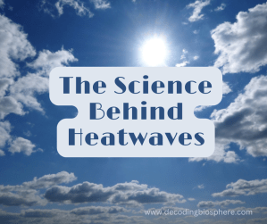 The Science Behind Heatwaves: Understanding the Causes and Effects ...