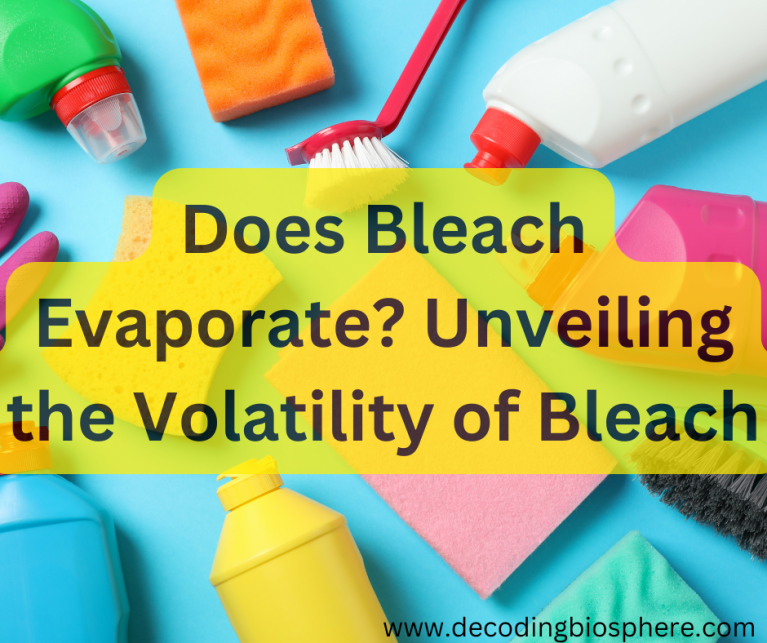 Does Bleach Evaporate? Understanding the Volatility of Bleach ...