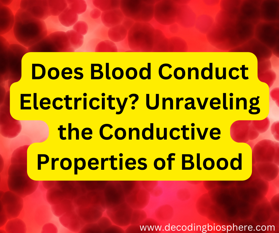 Does Blood Conduct Electricity? Unraveling the Conductive Properties of ...