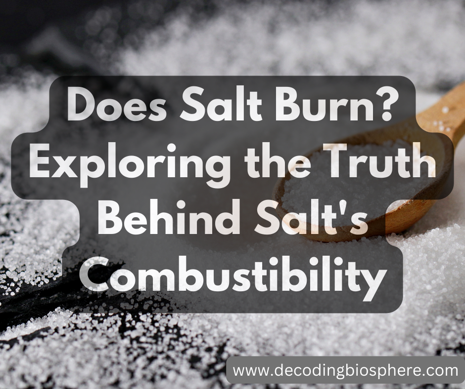 Does Salt Burn? Exploring the Truth Behind Salt’s Combustibility ...