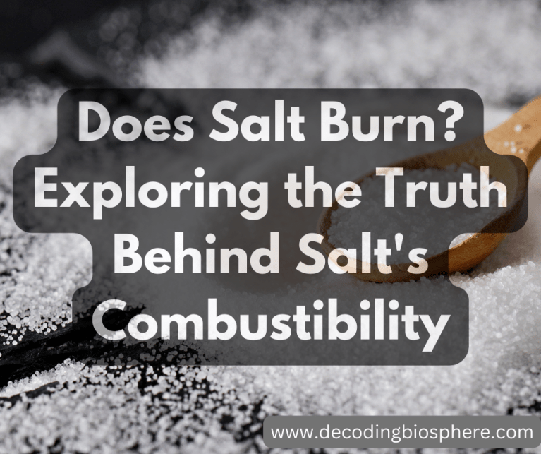 Does Salt Burn? Exploring the Truth Behind Salt’s Combustibility ...