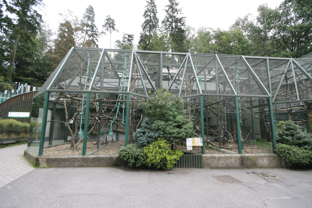 Aviary: Definition, Features and Benefits – Decoding Biosphere