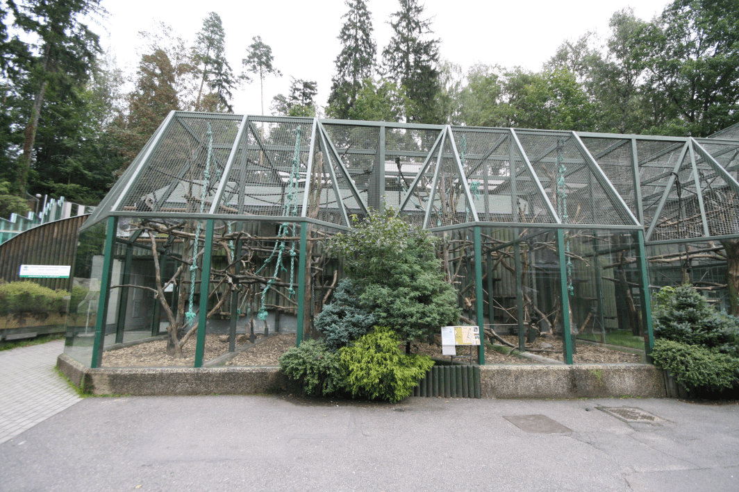 Aviary: Definition, Features and Benefits – Decoding Biosphere