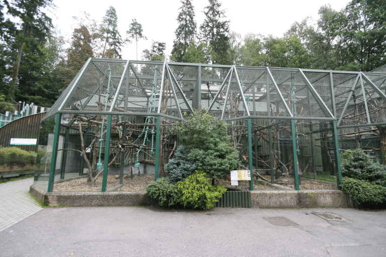 Aviary: Definition, Features and Benefits – Decoding Biosphere