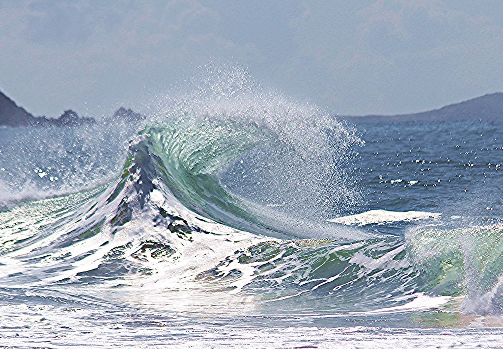 What is Backwash? – Decoding Biosphere