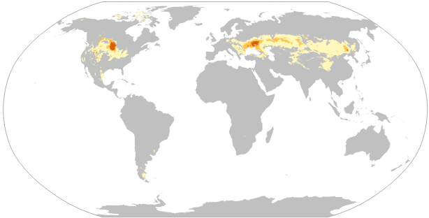 What is Chernozem and Where is it Found? – Decoding Biosphere