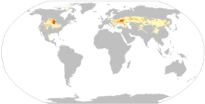 What is Chernozem and Where is it Found? – Decoding Biosphere
