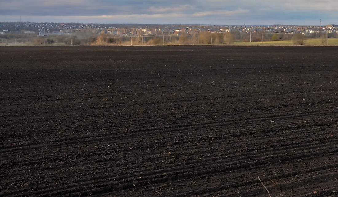 What is Chernozem and Where is it Found? – Decoding Biosphere