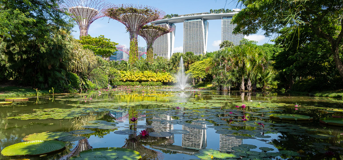 Innovative Solutions for Reducing Urban Noise Pollution – Decoding ...