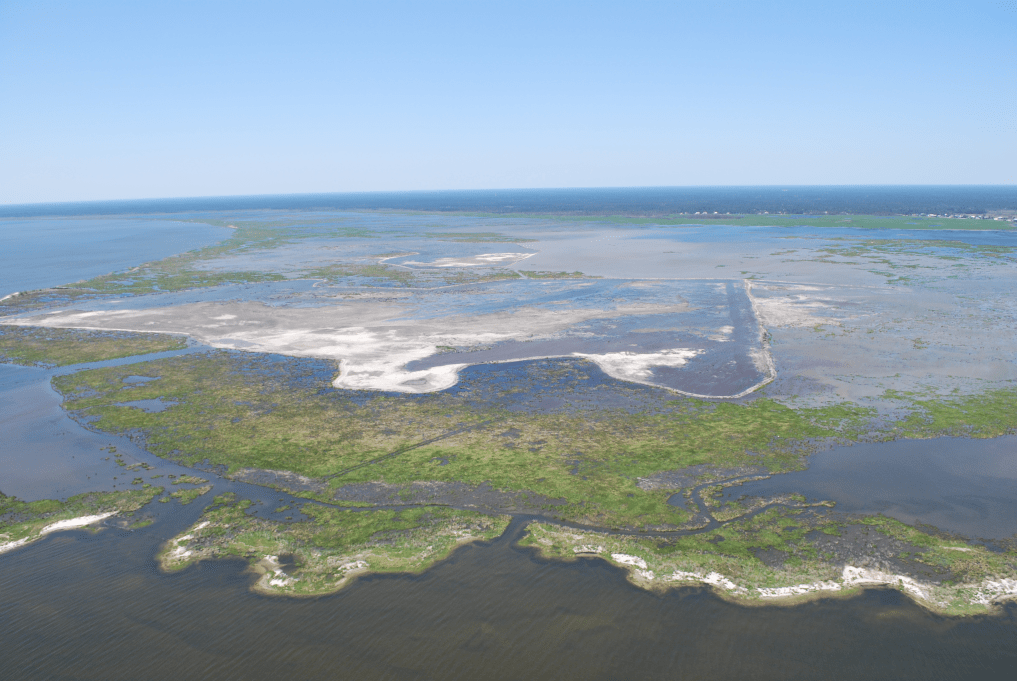 Different Coastal Protection Methods – Decoding Biosphere