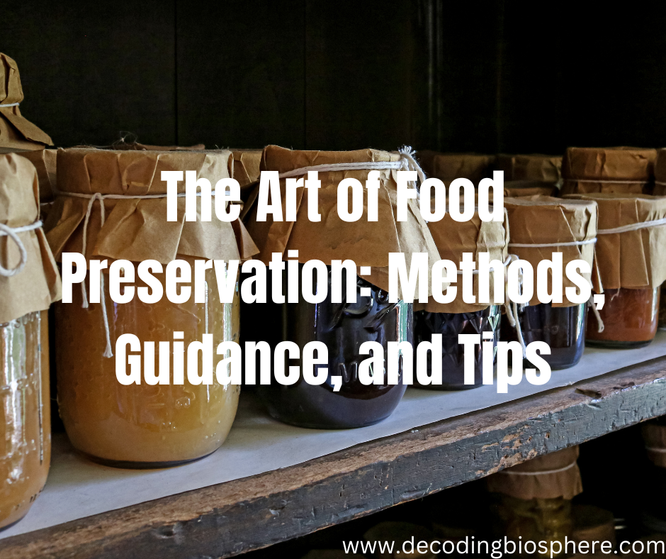 The Art of Food Preservation: Methods, Guidance, and Tips – Decoding ...