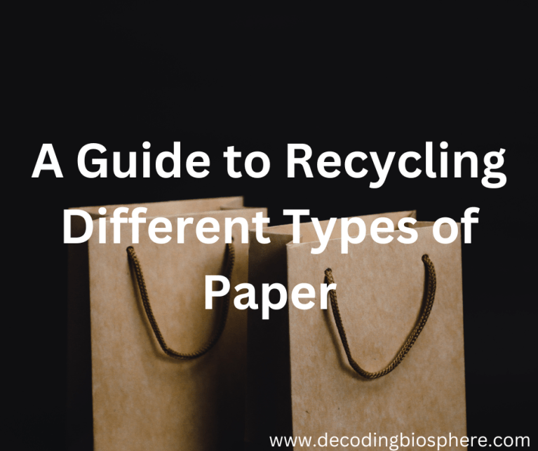 A Guide to Recycling Different Types of Paper – Decoding Biosphere