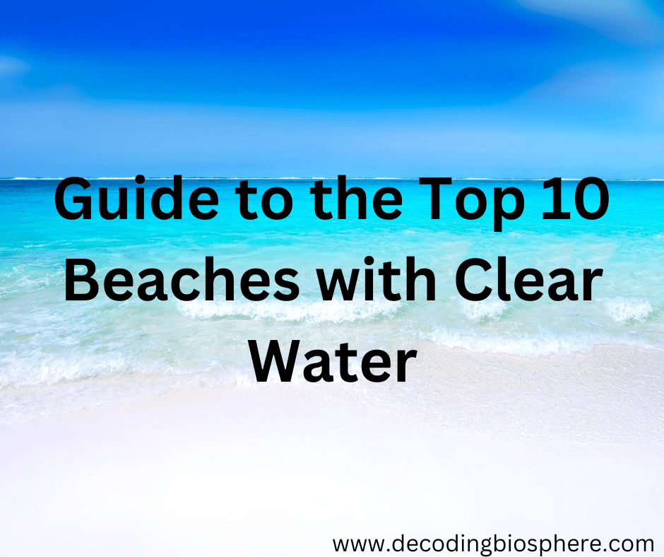 Guide to the Top 10 Beaches with Clear Water – Decoding Biosphere