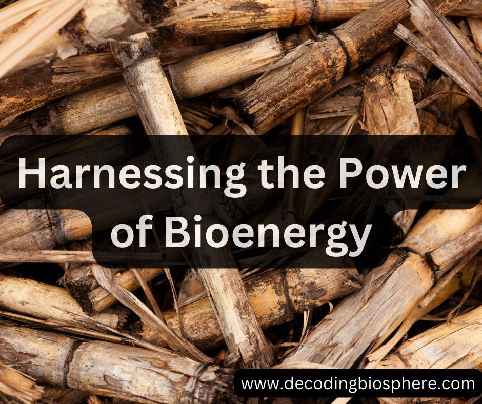 Harnessing the Power of Bioenergy: Advantages for Economy, Society, and ...