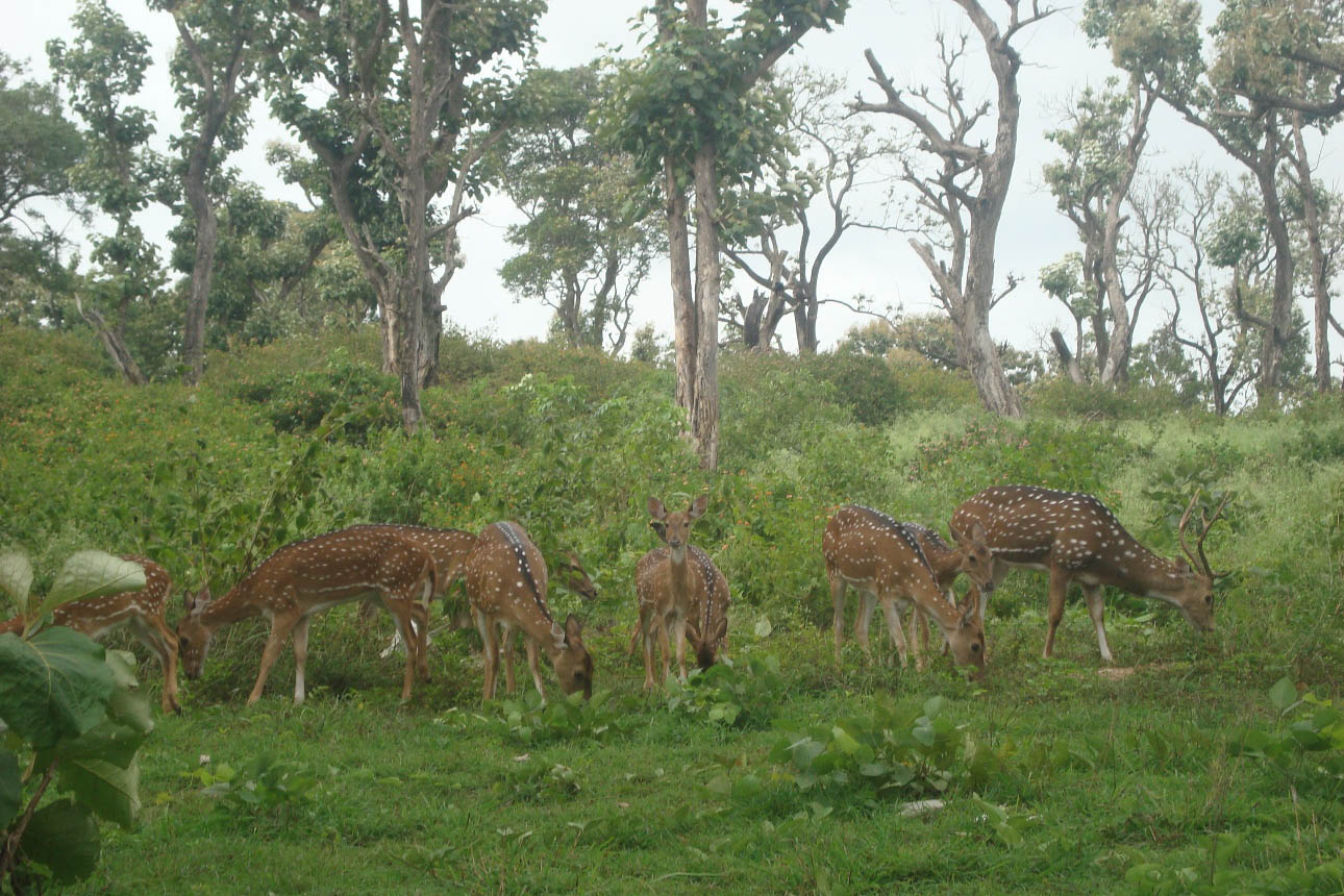 Biological Reserves: Types, Examples and FAQs – Decoding Biosphere