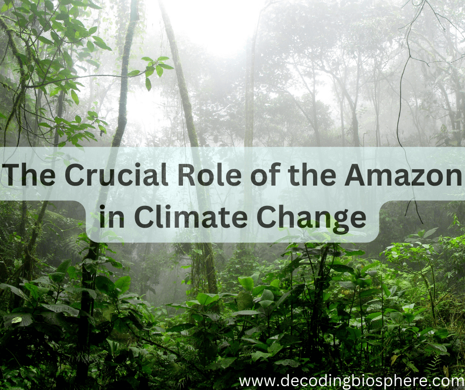 The Crucial Role of the Amazon in Climate Change – Decoding Biosphere