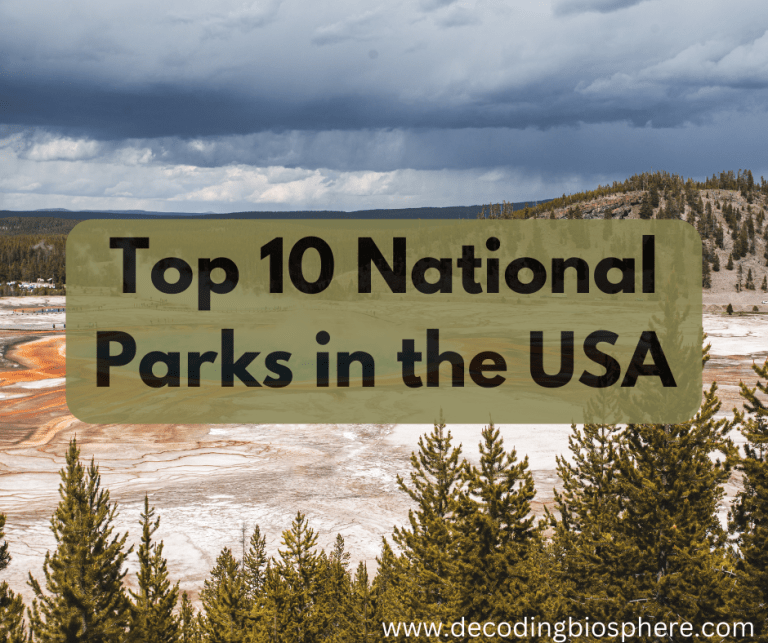 Top 10 National Parks in the USA – Decoding Biosphere
