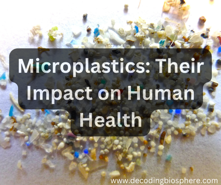 Microplastics: Impact on Human Health – Decoding Biosphere