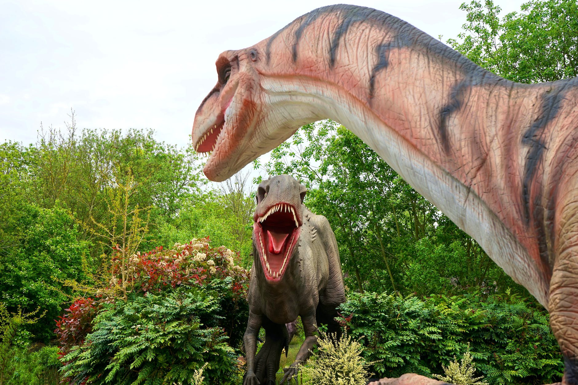 100 Fascinating Facts About Dinosaurs – Decoding Biosphere