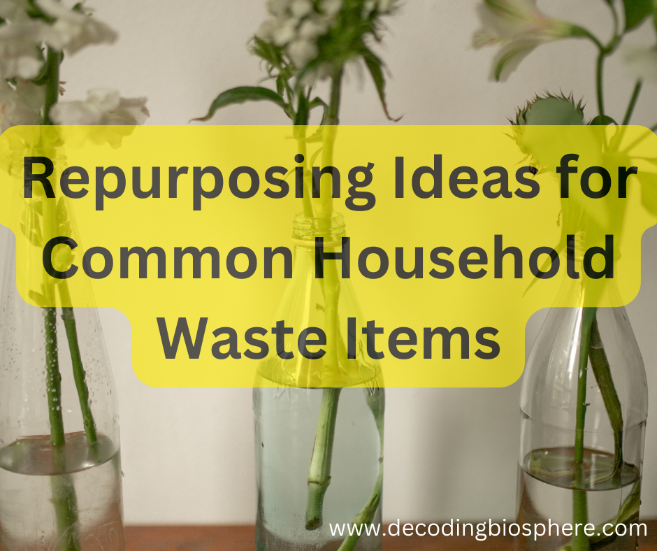 Repurposing Ideas for Common Household Waste Items – Decoding Biosphere